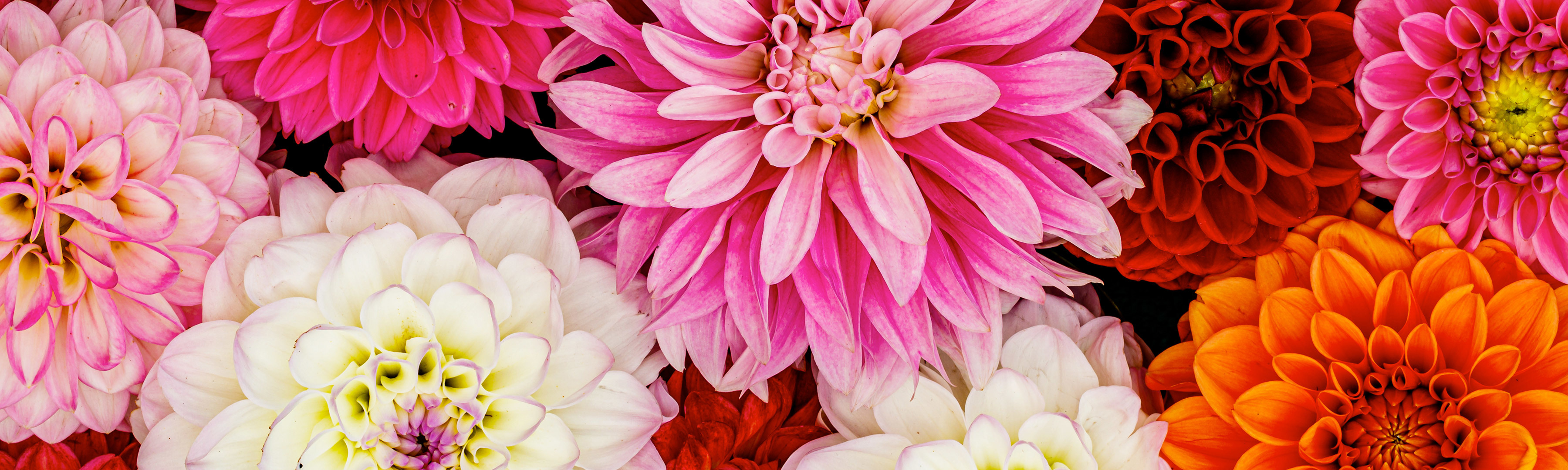 Flower Delivery in Grand Rapids, MI | Eastern Floral